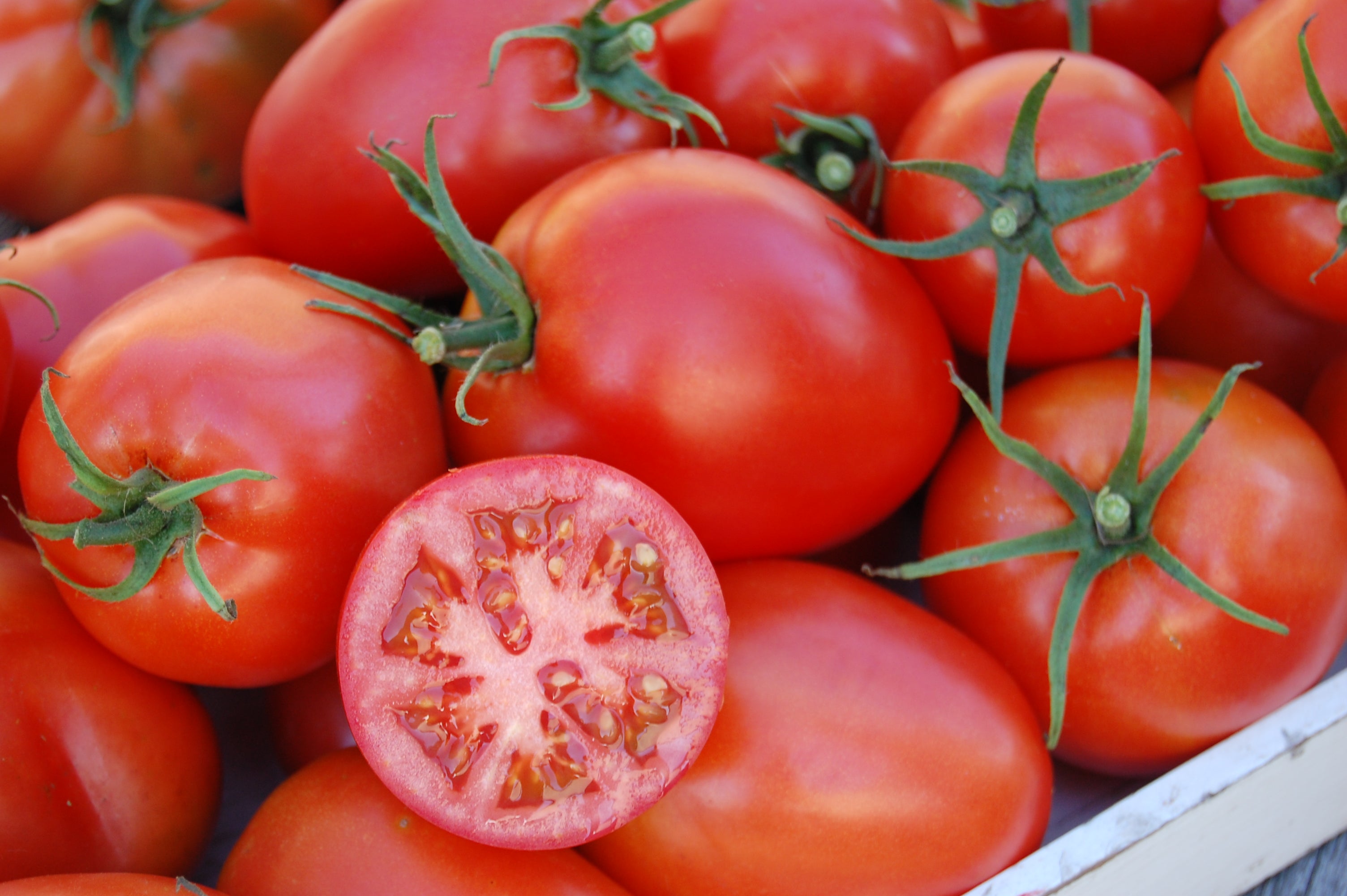 Tomato Amish Paste – Vis Seed