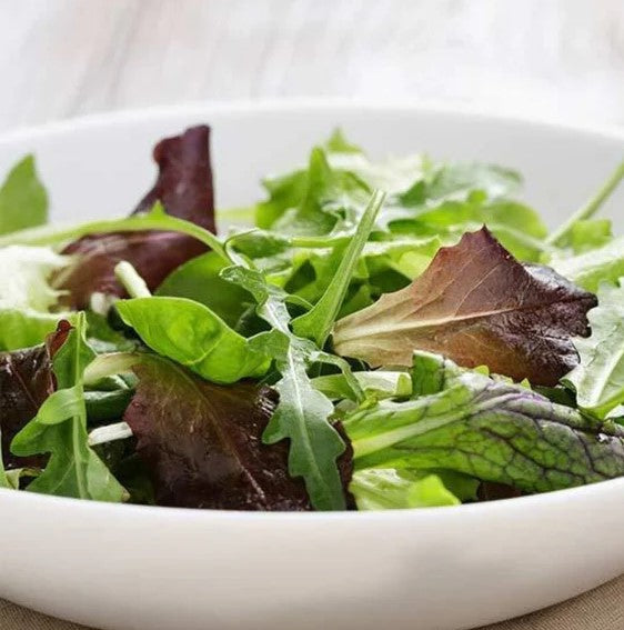 Lettuce Mesclun Mix – Vis Seed
